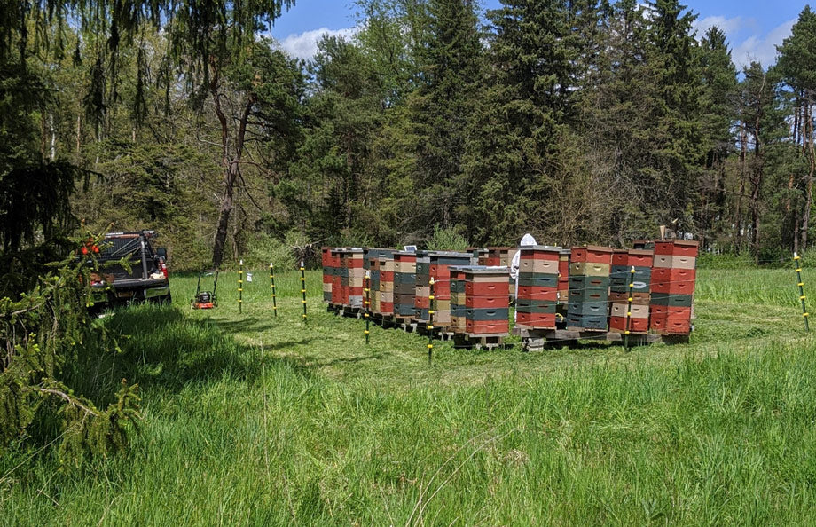 Moon's Gold Apiary | Local Honey